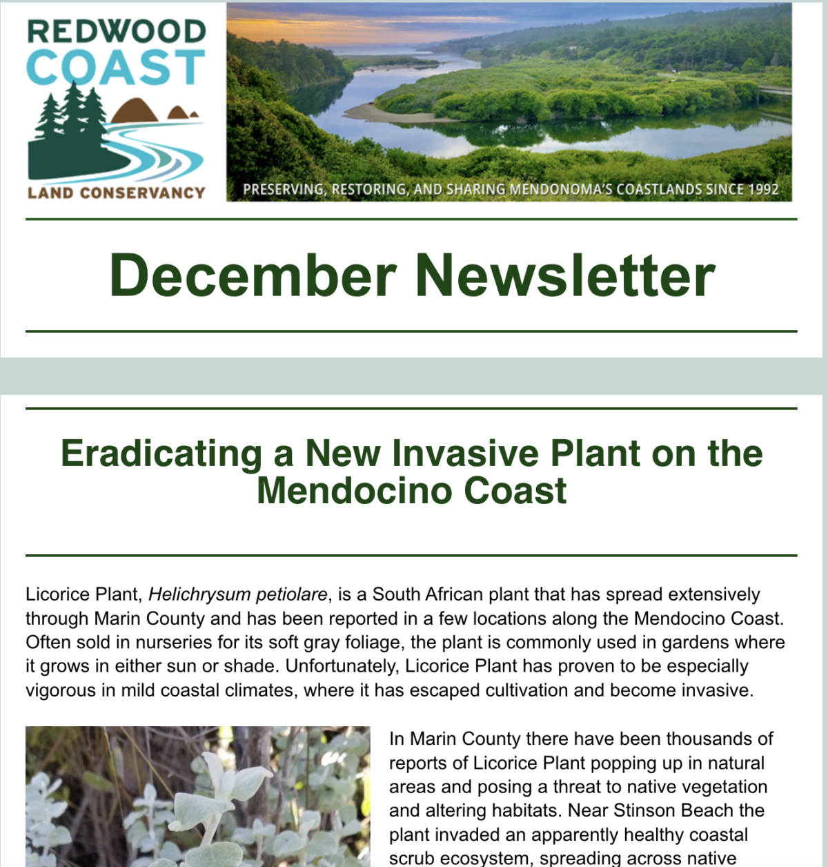 Newsletters – rclc.org